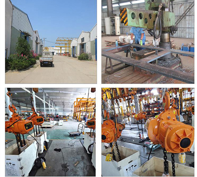 0.25t-50t Workshop Hook Electric Chain Hoist Crane 380V 220V